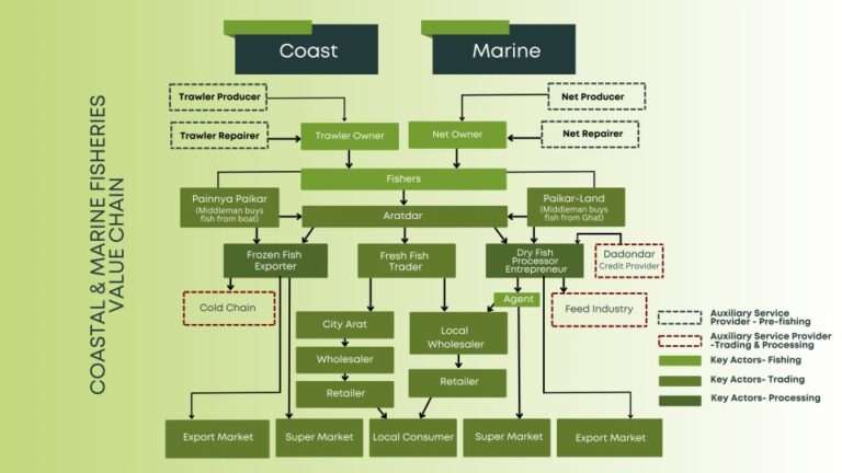 Coastal youth: The missing link in driving sustainable coastal community development? | Inspira ...